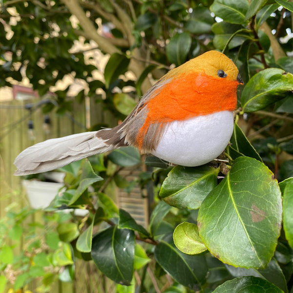 Clip on Robin – Christmas Trees 4 You